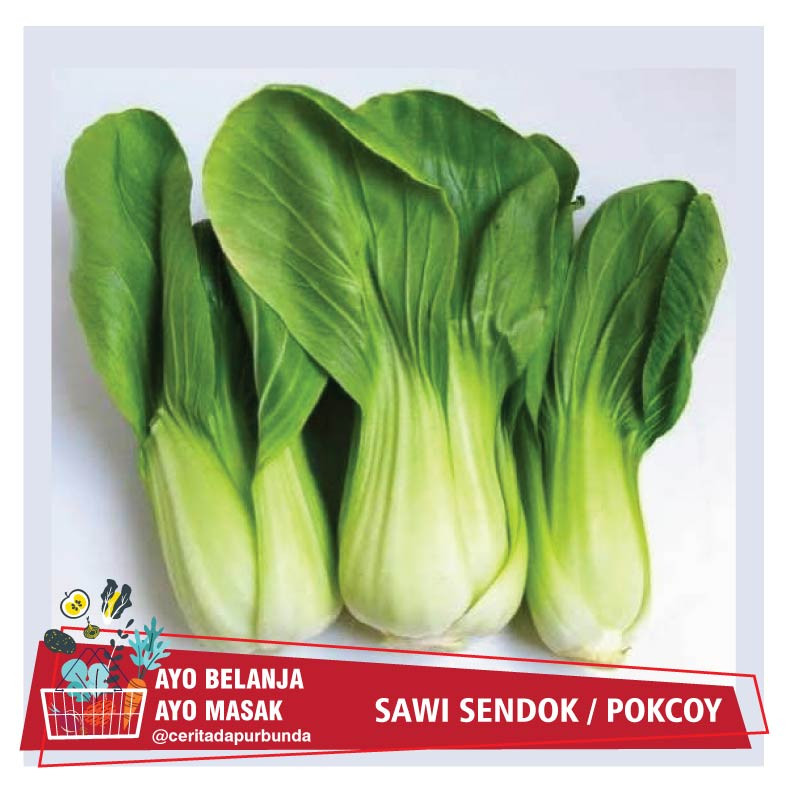 Jual SAWI SENDOK / SAWI DAGING / PAKCOY per 250 gram | Shopee Indonesia
