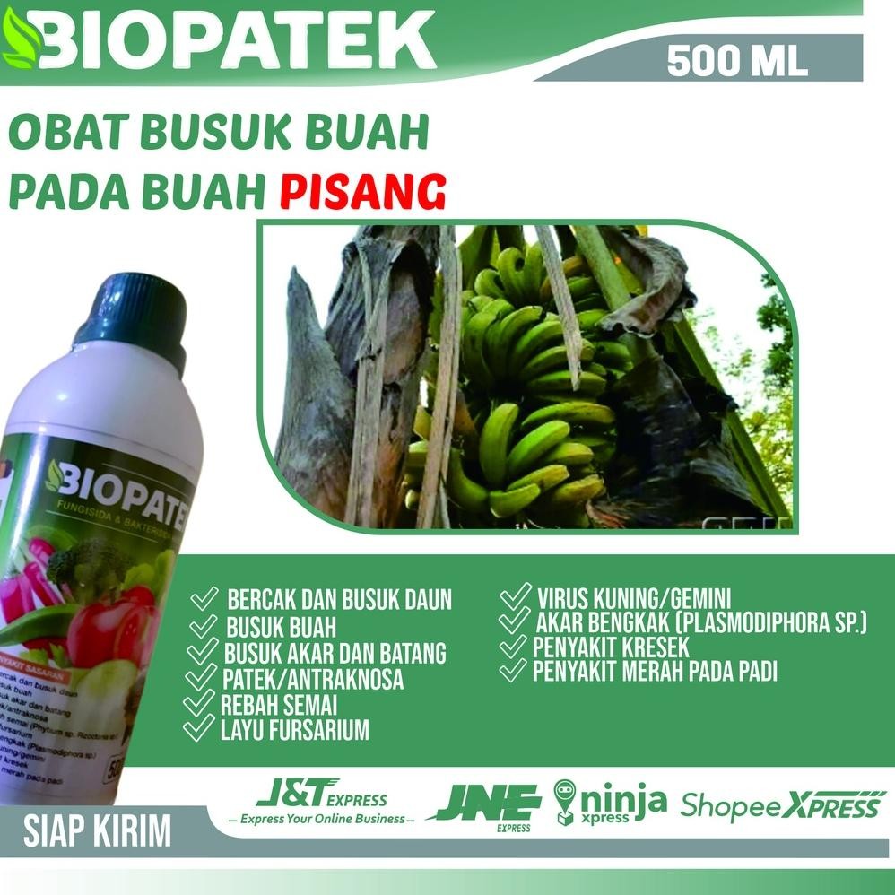 Jual Murah Obat Busuk Batang Pisang - Biopaek Fungisida & Bakterisida Hayati Ampuh Mengatasi ...