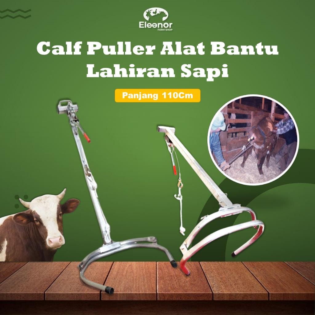 Jual Calf Puller Alat Bantu Lahiran Sapi Panjang 110cm Cow Midwifery ...