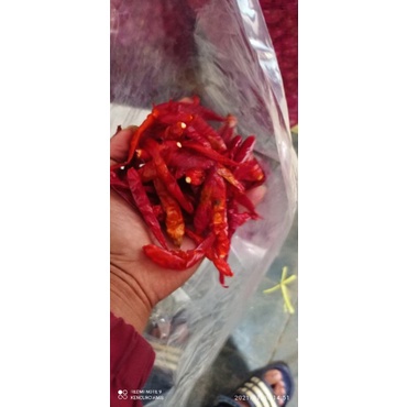 Jual ( 1Kg )Cabe/Cengek Kering Teja Kualitas Pedas ( 1 Kilo ) | Shopee ...