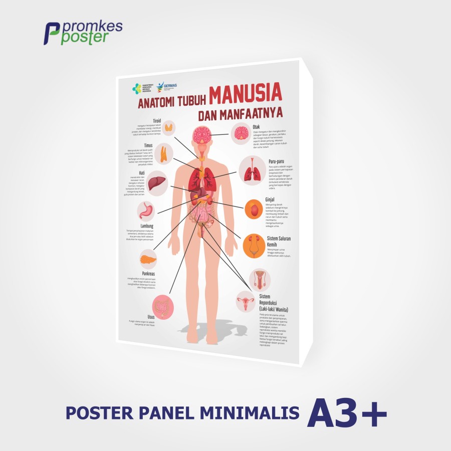 Jual Poster Bingkai Panel A3+ Custom Laminating | Shopee Indonesia