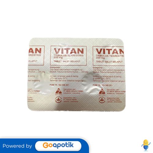 Jual VITAN 250 MG STRIP 4 TABLET | Shopee Indonesia