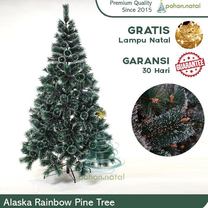 Jual Pohon Natal Alaska Rainbow Pine Tree 2ft ( 60cm) | Shopee Indonesia