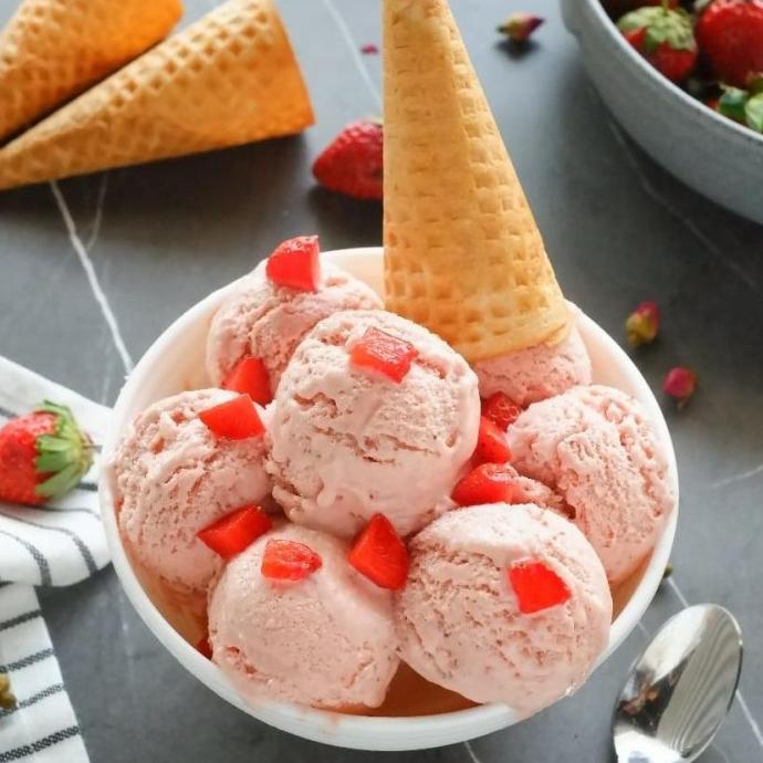 Jual Signora Ice Cream Maker / Mesin Pembuat Es Krim & Yogurt | Shopee ...