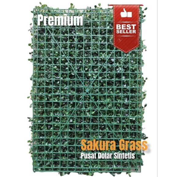 Jual Recomend DAUN DOLAR DOLARAN SINTETIS UKURAN 40X60 CM - DAUN ...