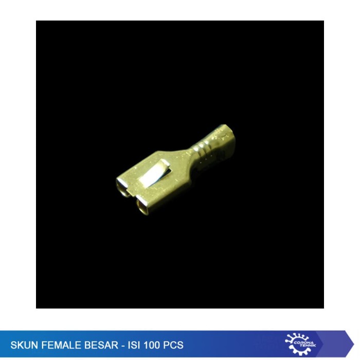 Jual Skun Female Besar - Isi 100 Pcs star | Shopee Indonesia