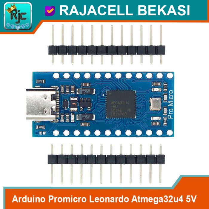 Jual Arduinoo Pro Micro Leonardo Atmega32U4 5V Promicro Hid With Usb Type C | Shopee Indonesia