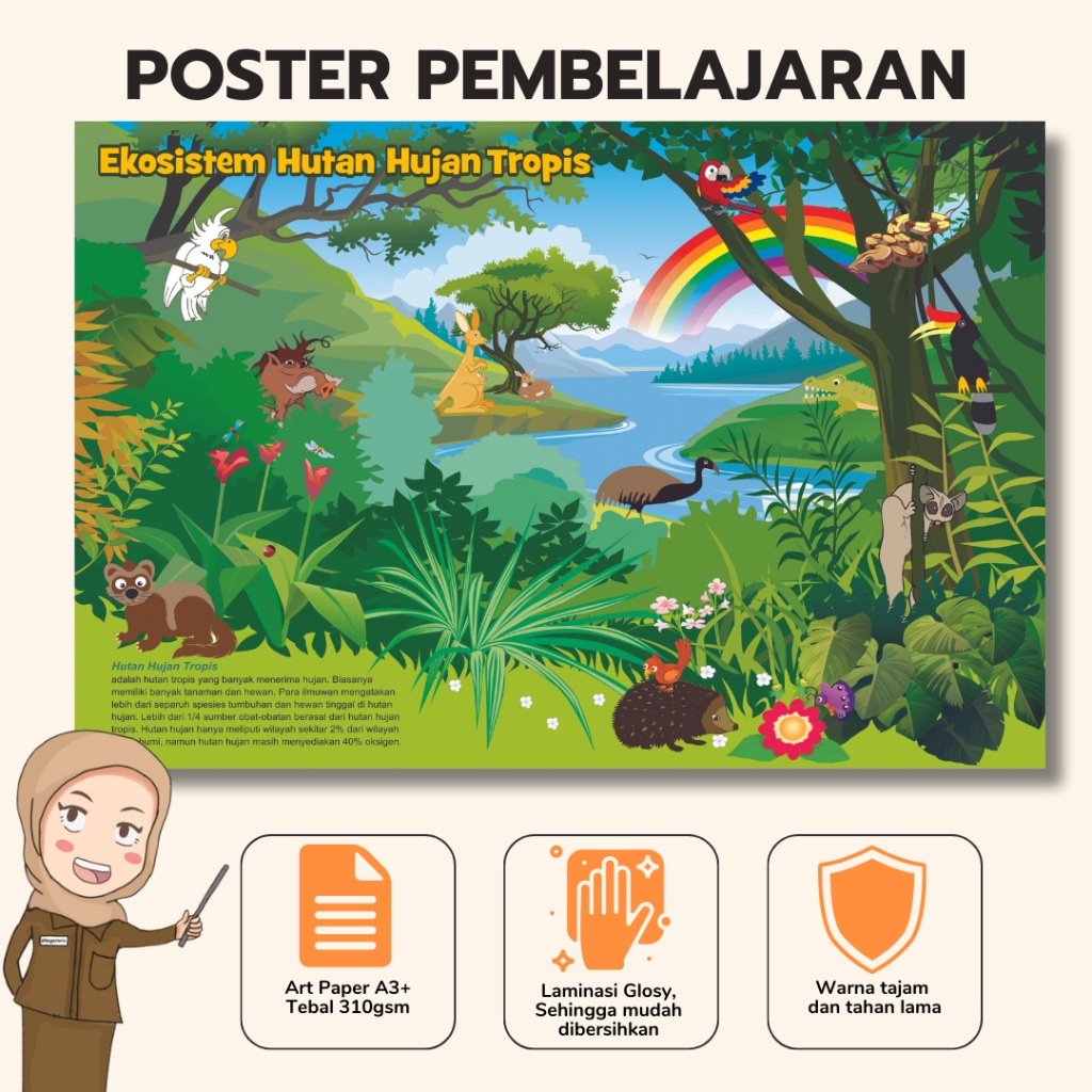Jual Bu Guru Ria - Poster Ekosistem Hutan Hujan Tropis Edukasi ...