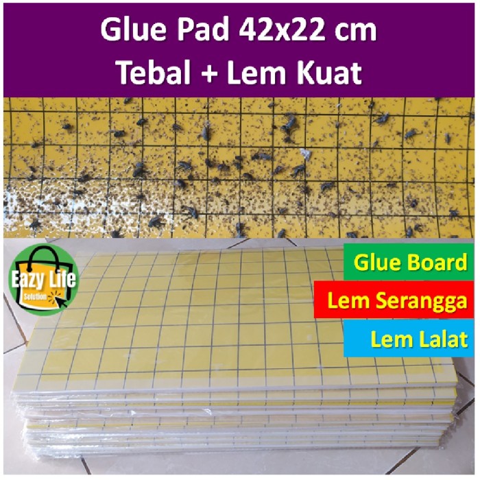 Jual GLUE PAD GLUE BOARD LEM LALAT FLY CATCHER 1 PACK (10 LEMBAR) | Shopee Indonesia