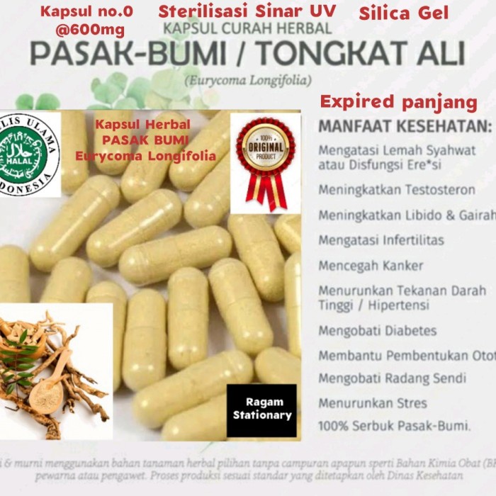 Jual Kapsul Herbal Jamu Obat Pasak Bumi Tongkat Ali Curah Isi 100 Butir ...
