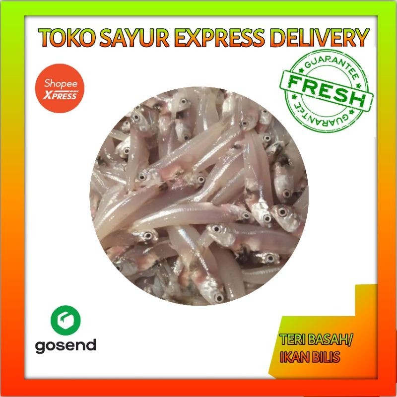 Jual Teri Basah / Ikan Bilis Basah - Palembang | Shopee Indonesia