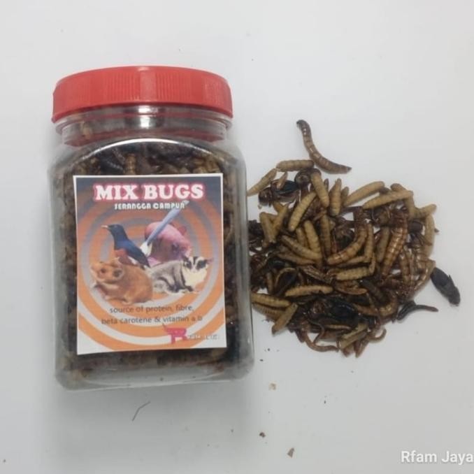 Jual MIX BUGS 100 GR TOPLES ANEKA SERANGGA KERING PAKAN IKAN BURUNG LANDAK | Shopee Indonesia