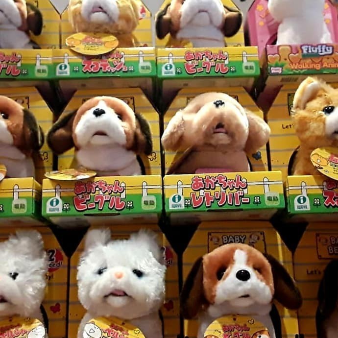 Jual ROBOT DOLL IWAYA JEPANG KUCING SCOTTISH PERSIAN CAT ROBOT BONEKA ...