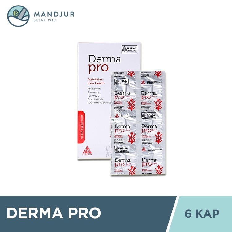 Jual Derma Pro 6 Kapsul - Suplemen Kesehatan Kulit | Shopee Indonesia