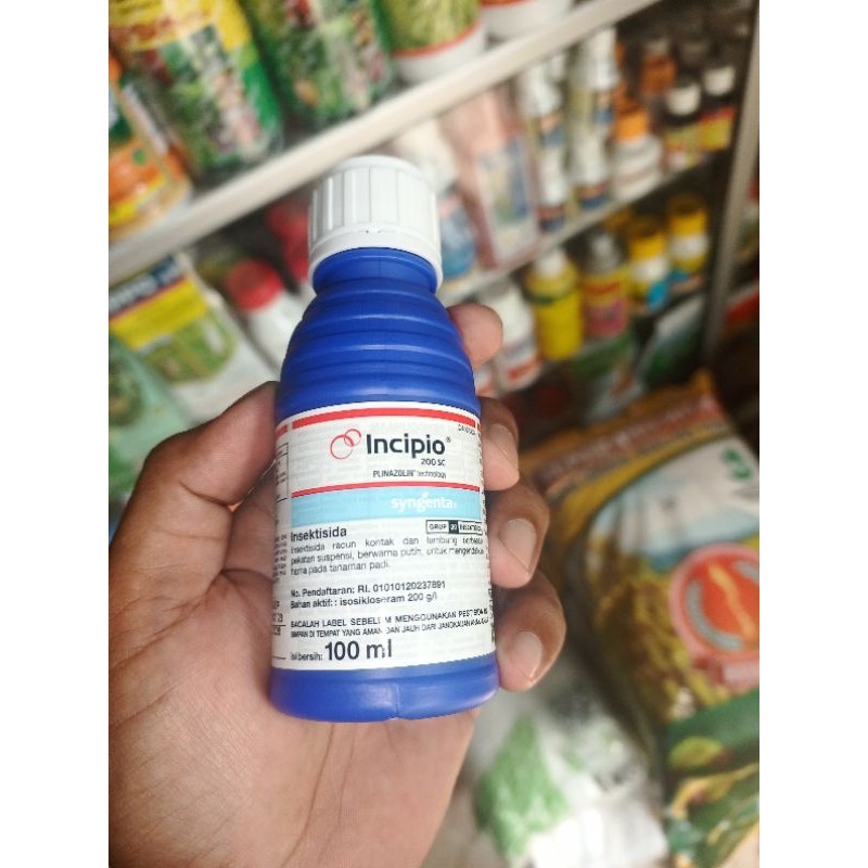 Jual INSEKTISIDA INCIPIO 200 SC 100 ML SUNDEP/BELUK | Shopee Indonesia