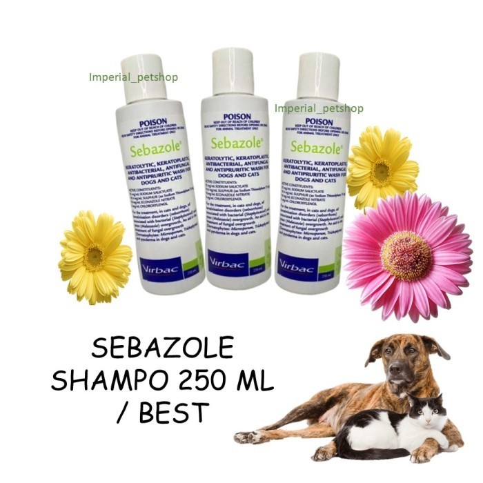 Jual SEBAZOLE SHAMPO 250 ML / SHAMPO KUCING DAN ANJING 1 PCS | Shopee ...