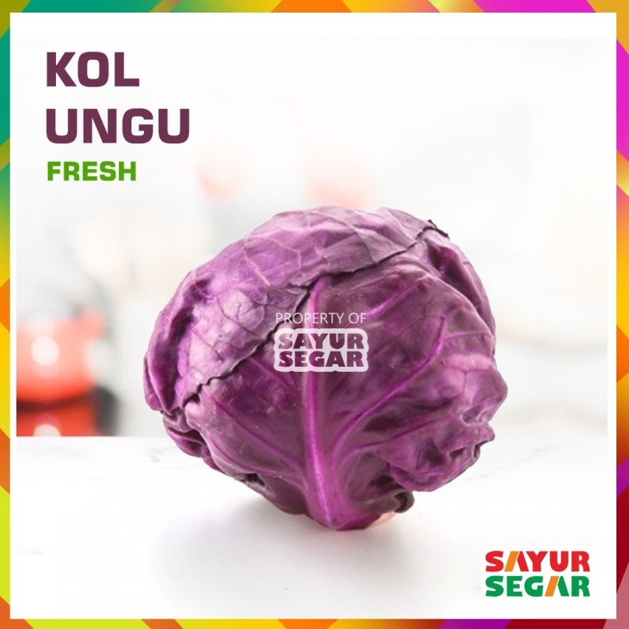 Jual Kol Ungu / Kubis Merah [1 Buah] | Shopee Indonesia