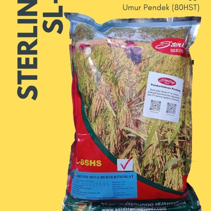 Jual Benih Padi Hibrida Sterling Sl8 | Shopee Indonesia