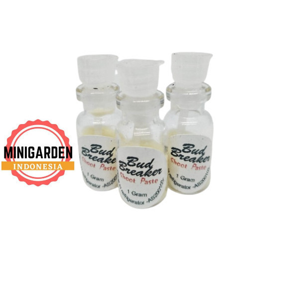 Jual Bud Breaker 1 Gram Hormon Penumbuh Tunas Anggrek Salep Nutrisi ...