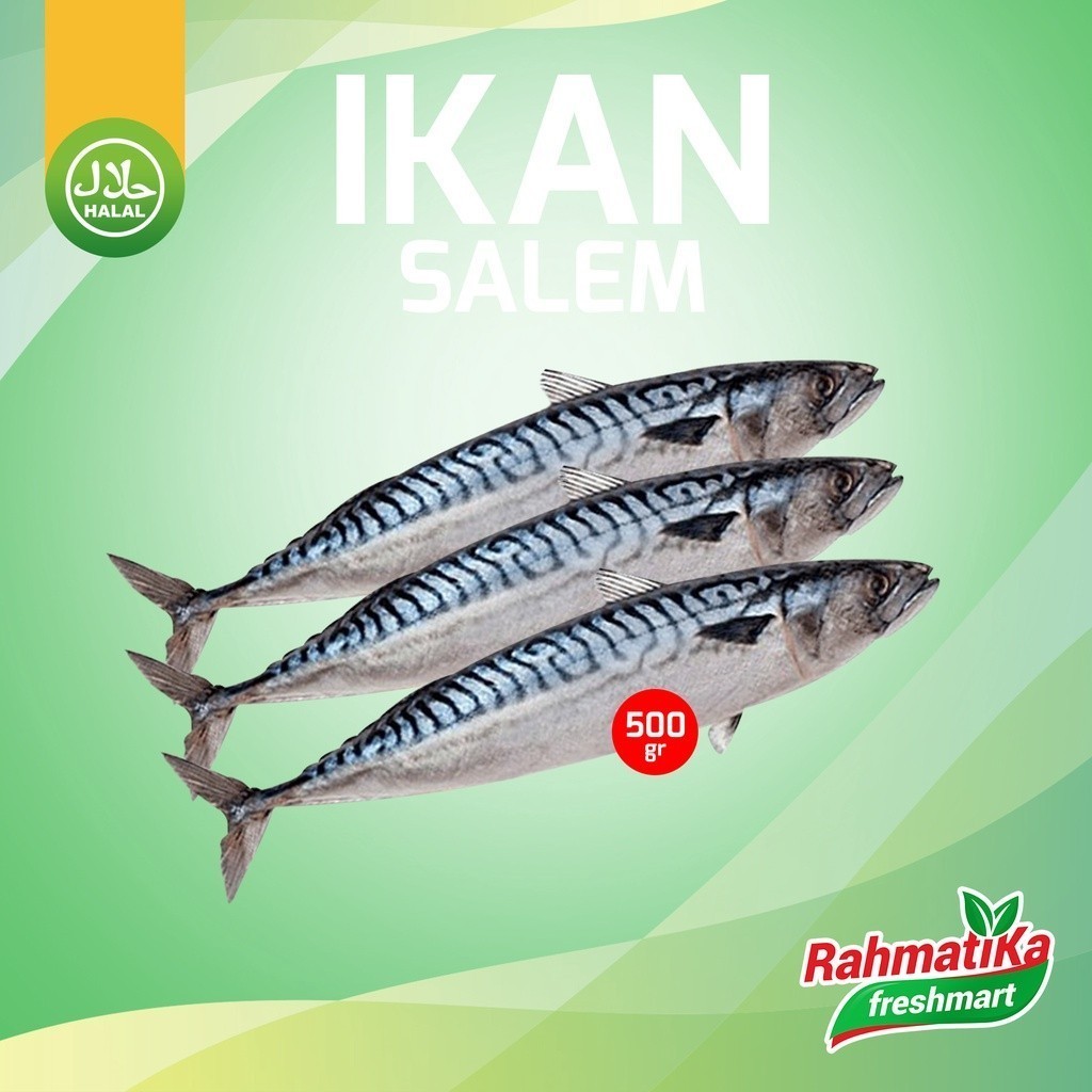 Jual Ikan Salem Segar / Ikan Salem IQF Premium Fresh 500 gr | Shopee ...