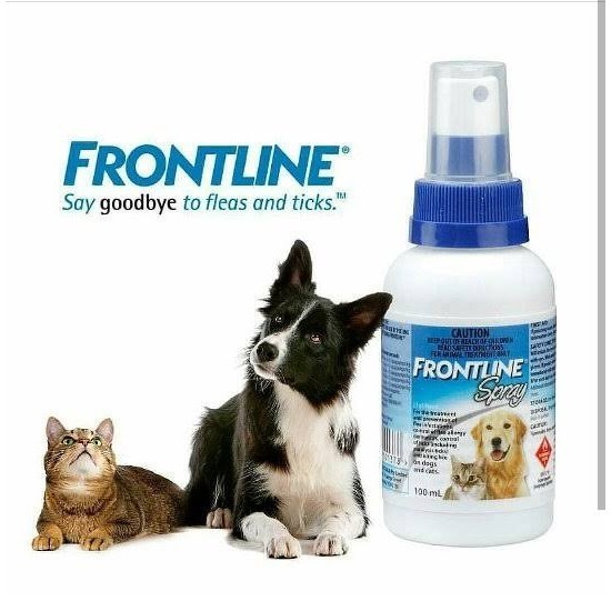 Jual NEW! FRONTLINE SPRAY DOG & CAT 100ML OBAT KUTU SEMPROT UNTUK ...