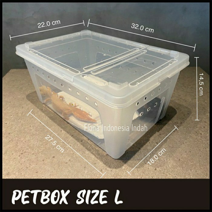 Jual Kotak Reptile Petbox Plastik Ukuran L | Shopee Indonesia