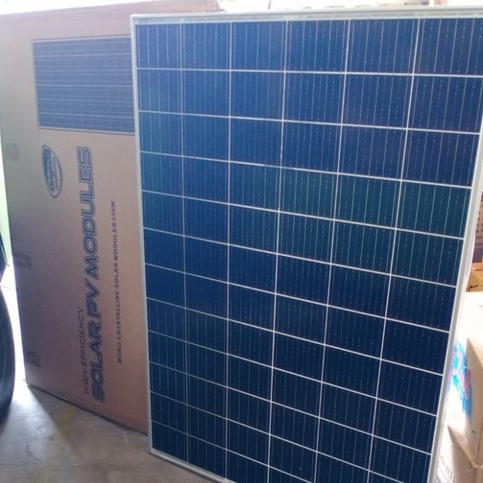 Jual Solar panel modul cell surya st solar 250wp 250 wp 24v 24 v mono ...