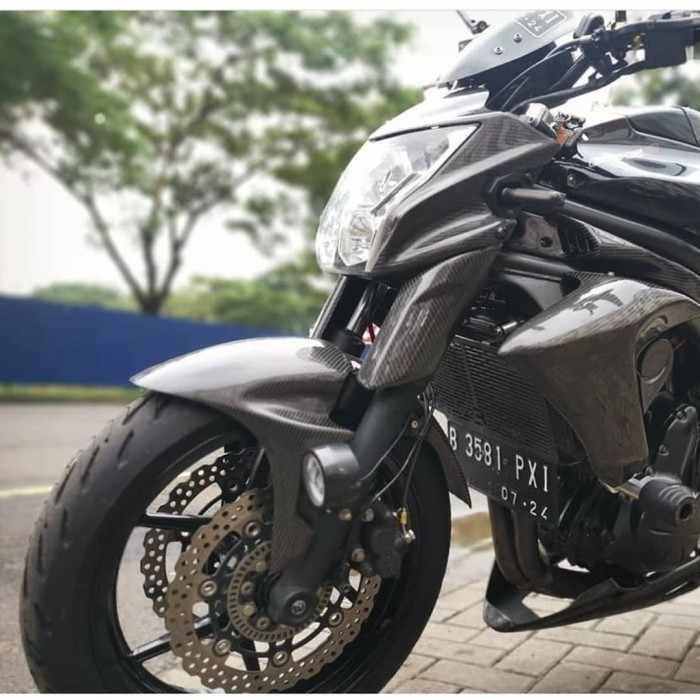 Jual Carbonstar : Spakbor Carbon Er6N Ninja650 -Not Tail Fender Ohlins Er6 | Shopee Indonesia