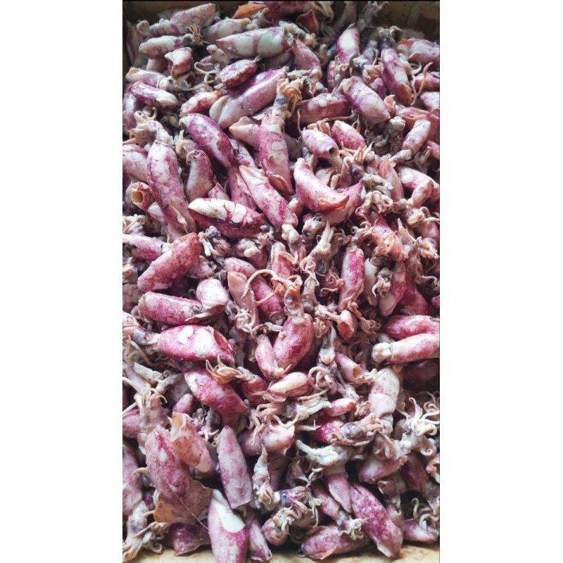 Jual cumi asin baby 3-4 cm 1 kg // sambel cumi // | Shopee Indonesia
