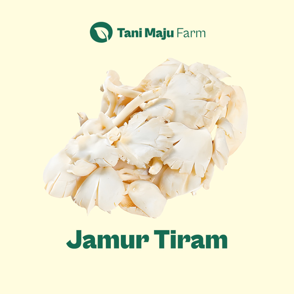 Jual Jamur Tiram Putih Mushroom Fresh Organik (250 gram) - Sayuran ...