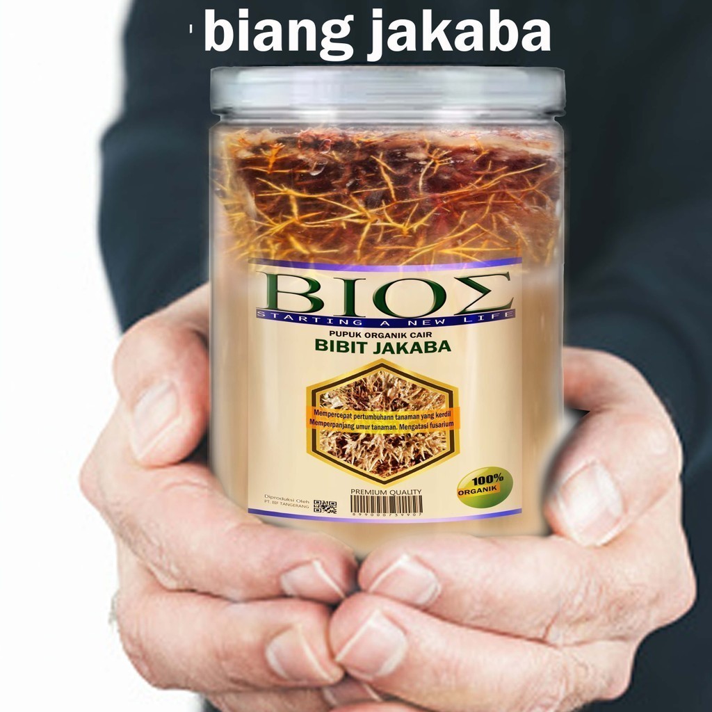 Jual bibit jakaba super atau biang jakaba botol 100ml sampai 1 Liter ...