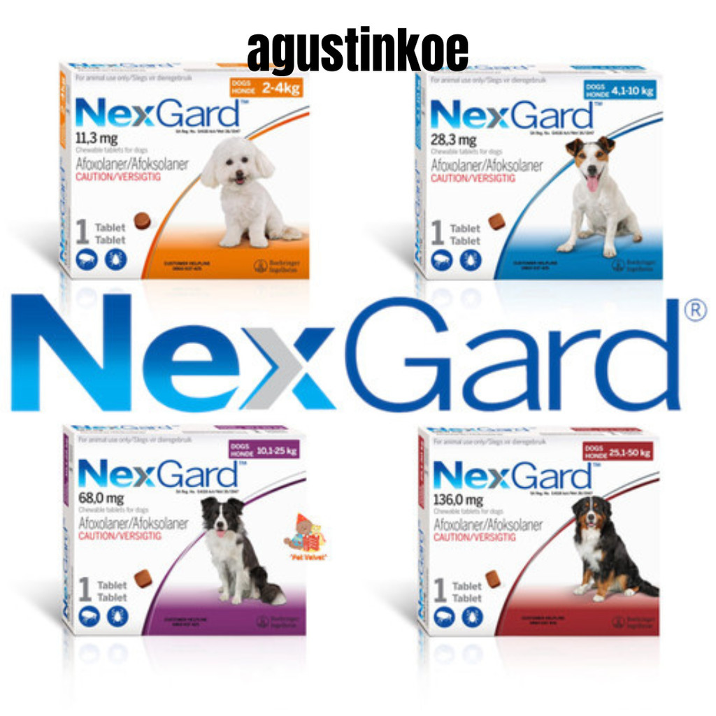 Jual NEXGARD Obat Kutu Dan Demodex Anjing NexGard Chewable Tablets | Shopee Indonesia