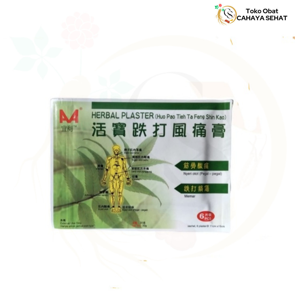 Jual AA HERBAL PLASTER (HUO PAO TIEH TA FENG SHIN KAO)6LEMBAR | Shopee ...