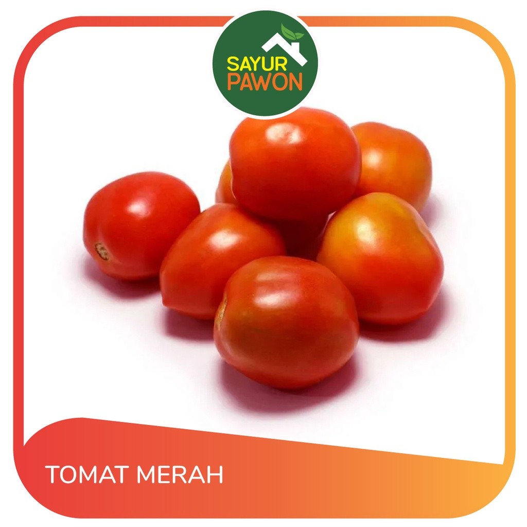 Jual TOMAT MERAH SEGAR per 250 gram - Sayur Pawon Jogja | Shopee Indonesia