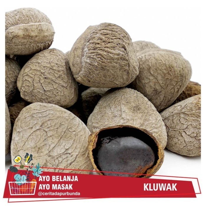 Jual KELUWAK / KLUWAK / KLUWEK / PUCUNG per 250 gram | Shopee Indonesia