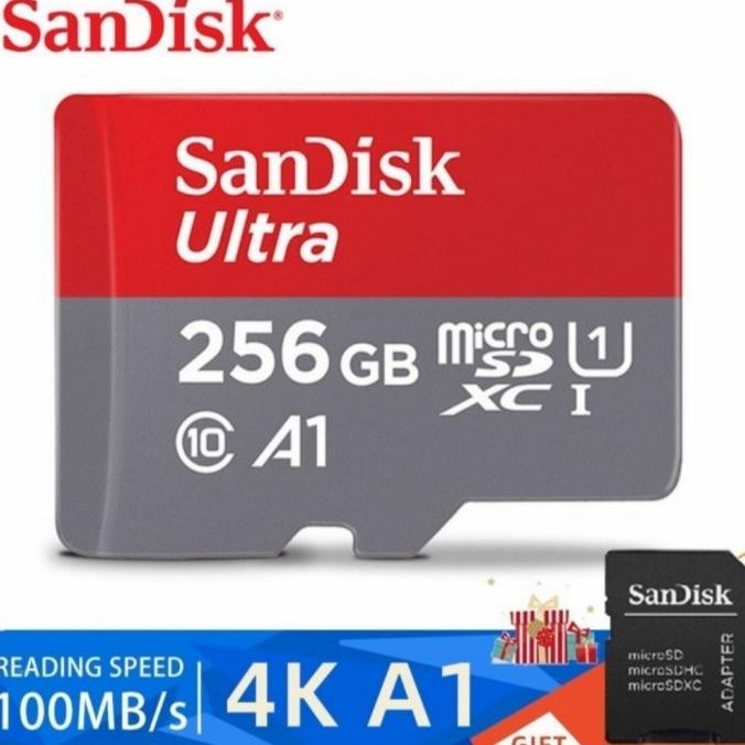 Jual Sandisk 256Gb Class10 Micro Sd Card Kartu Memori Memory Card ...