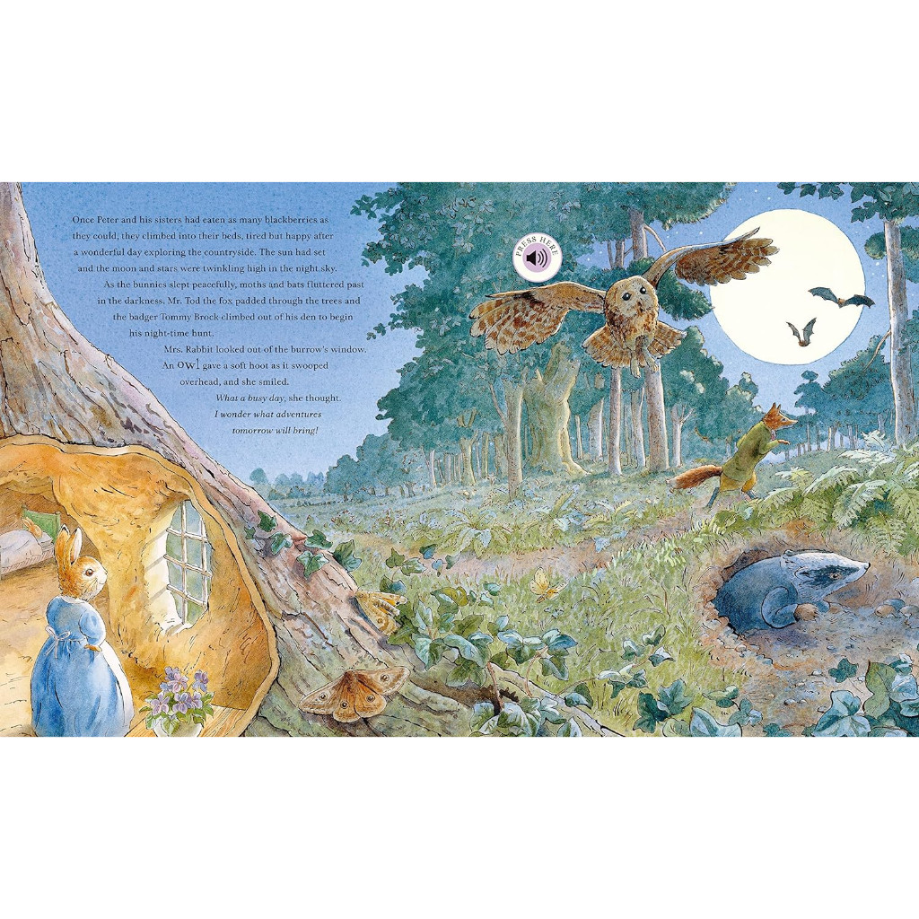 Jual Peter Rabbit: Peter's Nature Walk Sound Book | Shopee Indonesia