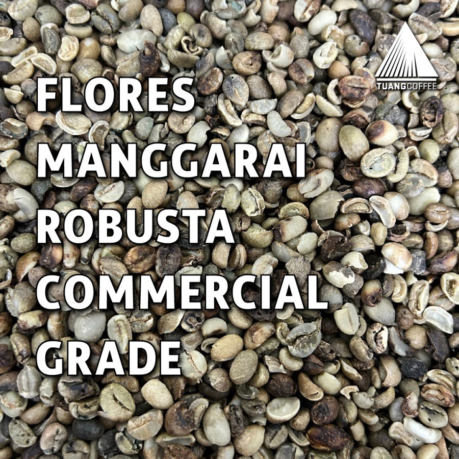 Jual Green Bean Robusta Tuang Coffee Flores Manggarai Commercial Grade ...