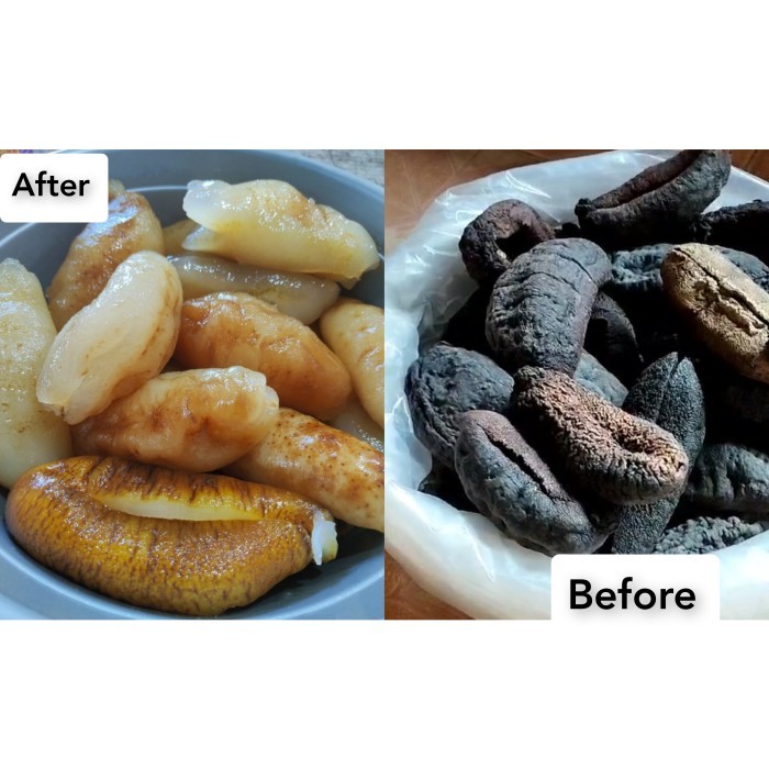 Jual Teripang / Haisim Kiku (Jai Kok Sim) Haisom Timun Laut / Sea ...