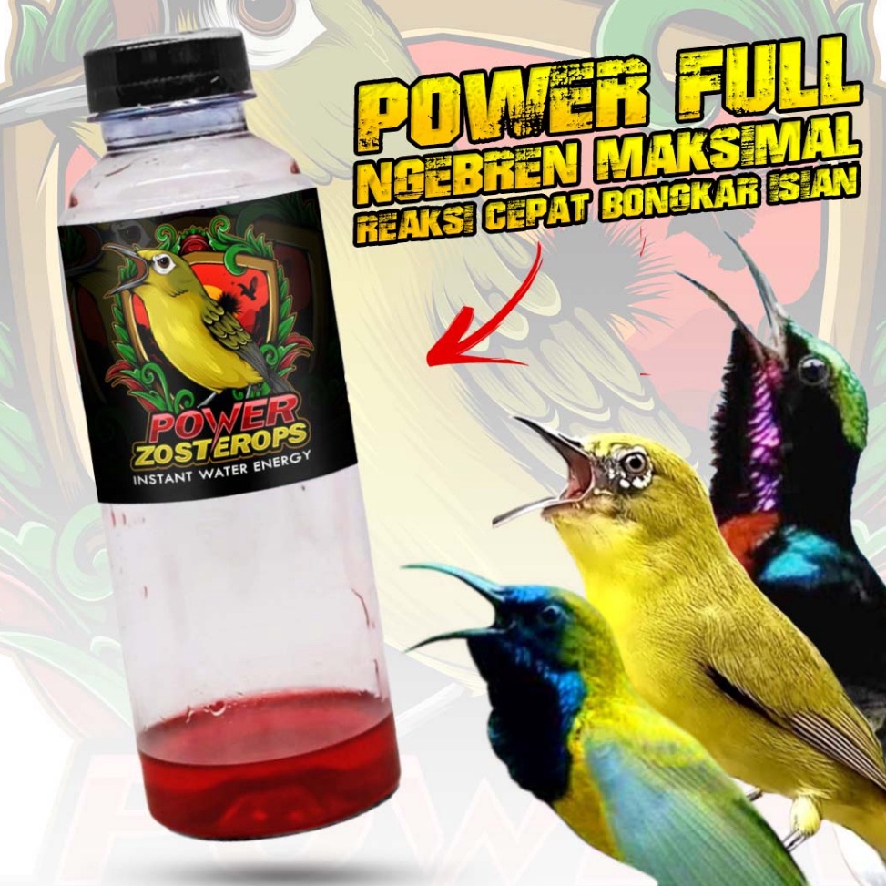 Jual HOT Product POWER ZOSTEROPS doping pleci sogon konin instant water ...