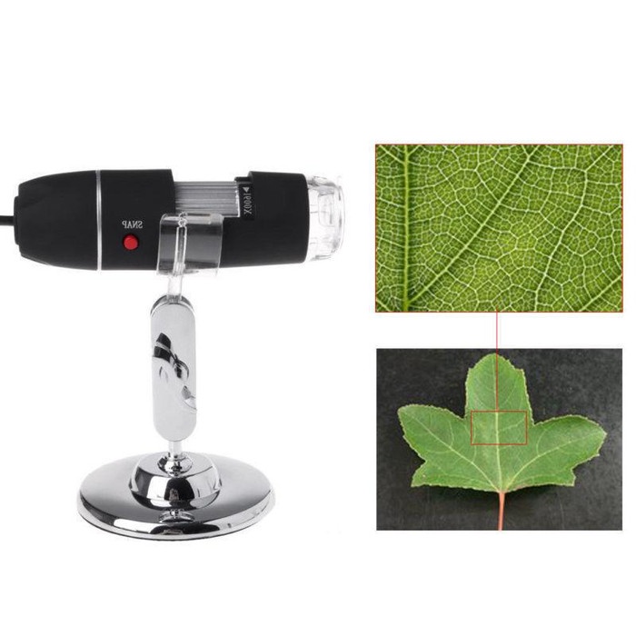 Jual TANPA OTG Microscope Zoom 1000x 8 LED Kaca Pembesar Digital ...