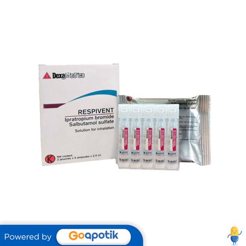 Jual RESPIVENT CAIRAN INHALASI 2.5 ML BOX 10 AMPUL | Shopee Indonesia