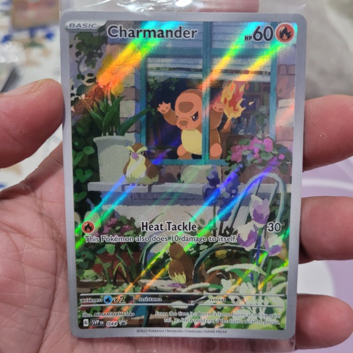 Jual Charmander Obsidian Flames Sealed Promo - Tcg Pokemon English ...