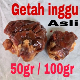 Jual getah inggu Harga Terbaik & Termurah April 2025 | Shopee Indonesia