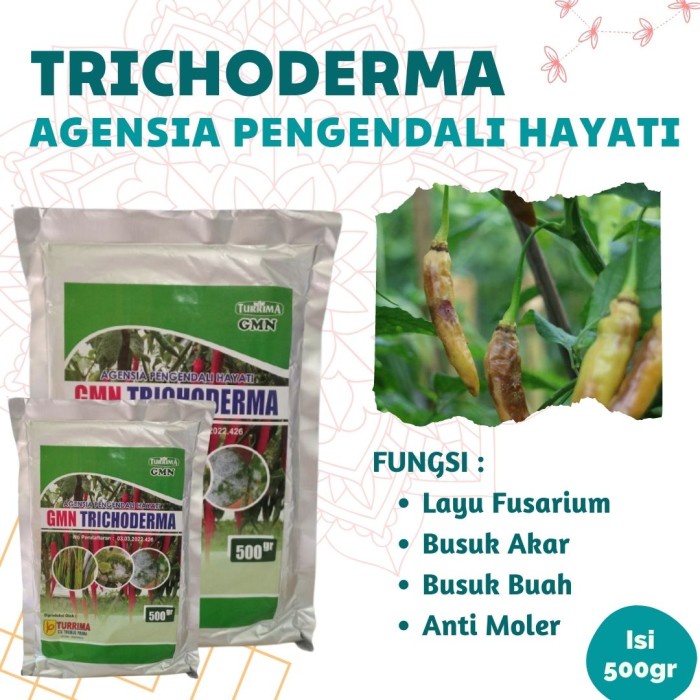 Jual Pupuk Hayati Trichoderma Cegah Layu Fusarium, Obat Busuk Buah Dan Akar | Shopee Indonesia