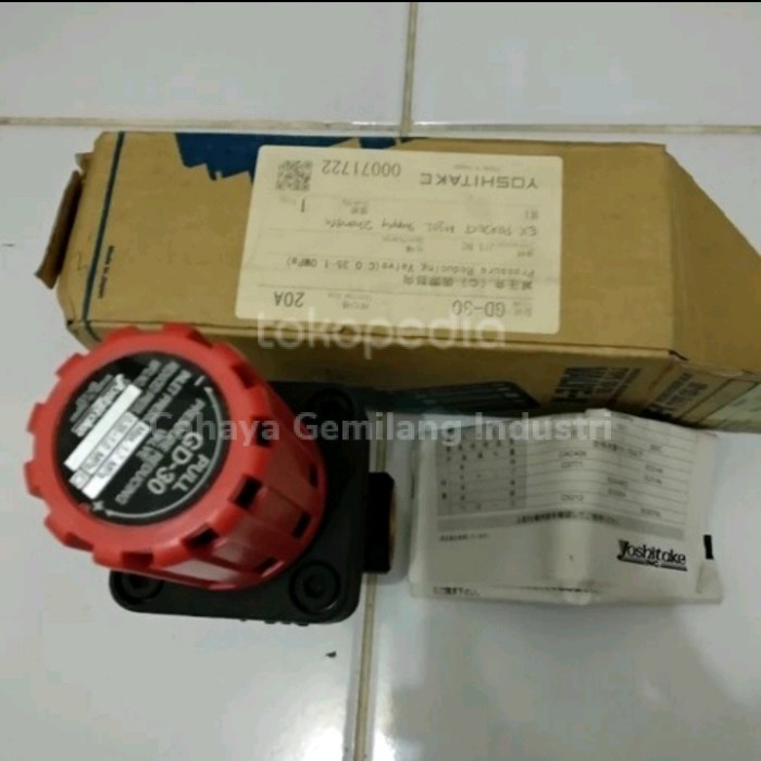 Jual New Ori Prv Preser Redusing Steam Valve Drat Type Gd30 Merk ...