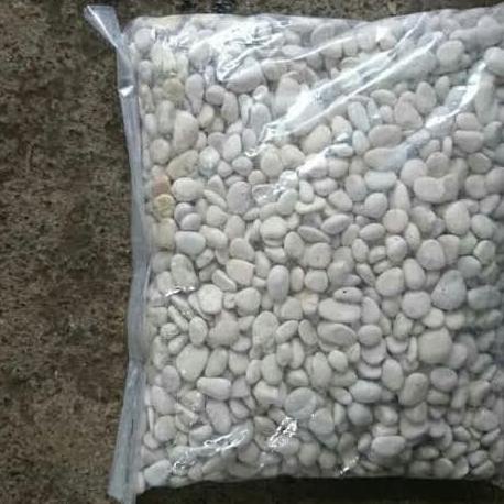 Jual Batu Koral Putih Kecil - Batu Koral Putih Sikat | Shopee Indonesia