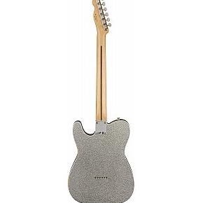 Jual PROMO FENDER BRAD PAISLEY ROAD WORN TELECASTER MAPLE FB SILVER ...