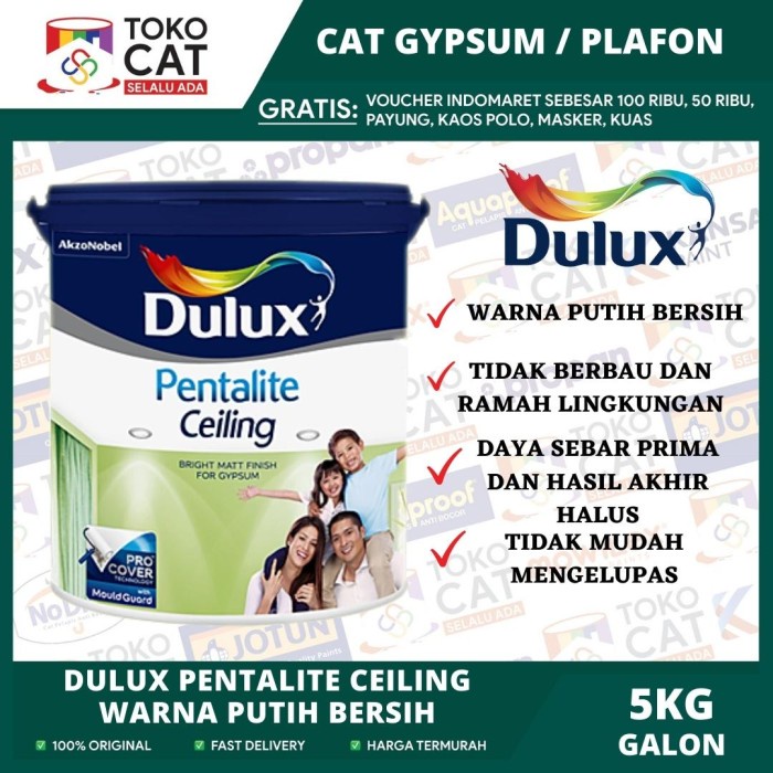 Jual Dulux Pentalite Ceiling White Supermatt Cat Plafond / Gypsum 5kg ...
