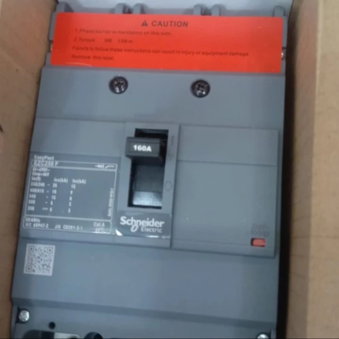 Jual Ori Mccb Schneider Easypact Ezc250F 18Ka 3P 100A Ezc250F3100 Original Diskon | Shopee Indonesia